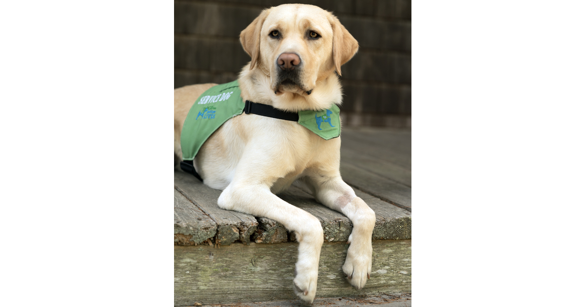 Vote for Luke | Dogs for Better Lives Photo Calendar Contest