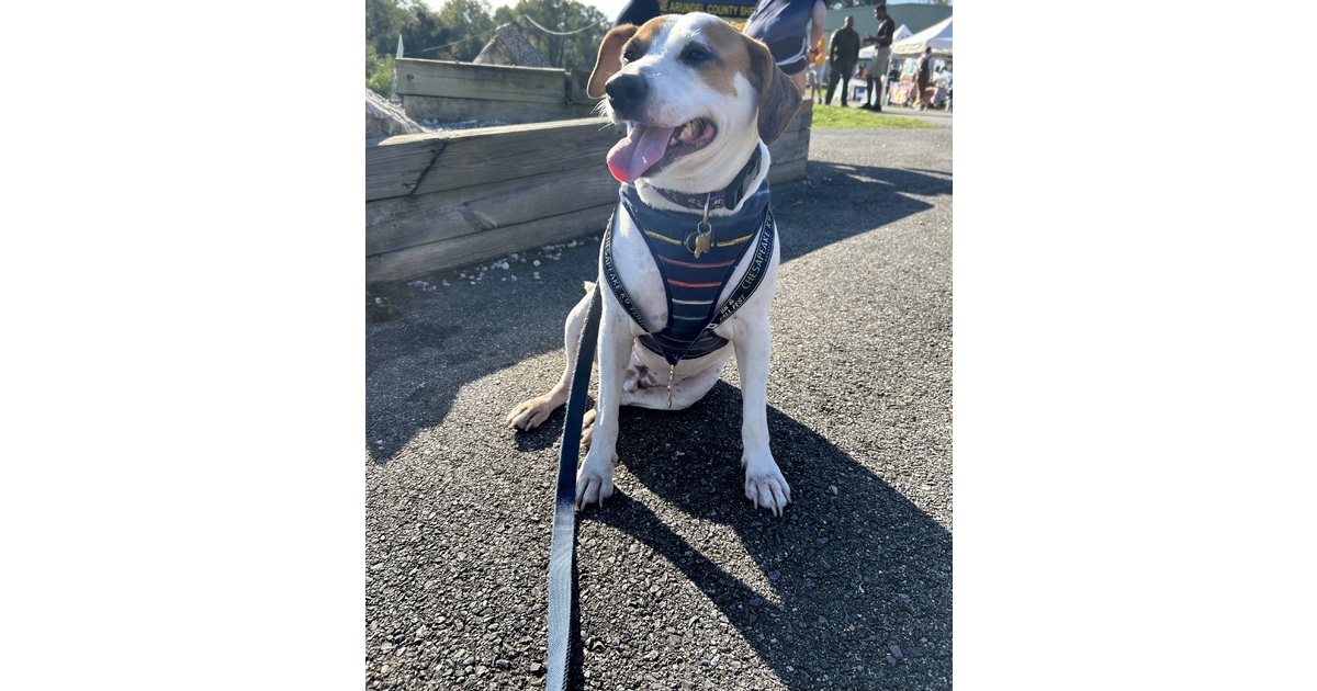 Vote for Russell | 2026 PAW Photo Contest