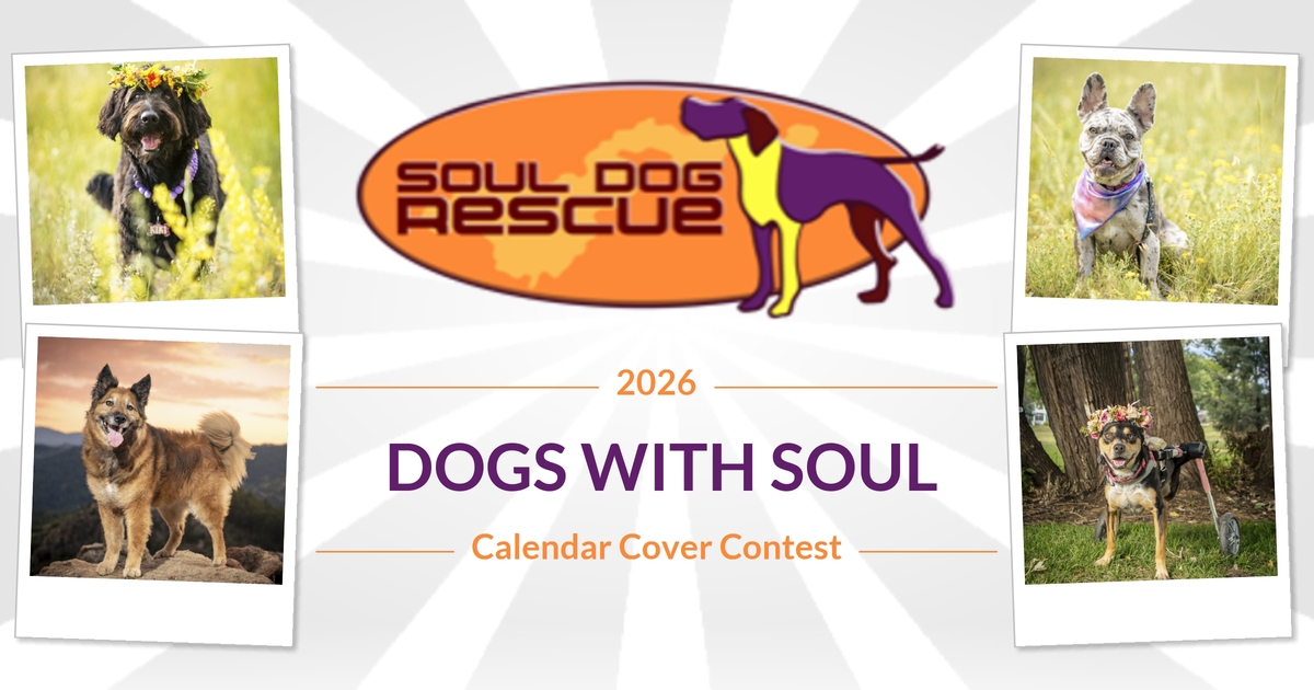 Soul Dog Rescue | Dogs with Soul Calendar Cover!