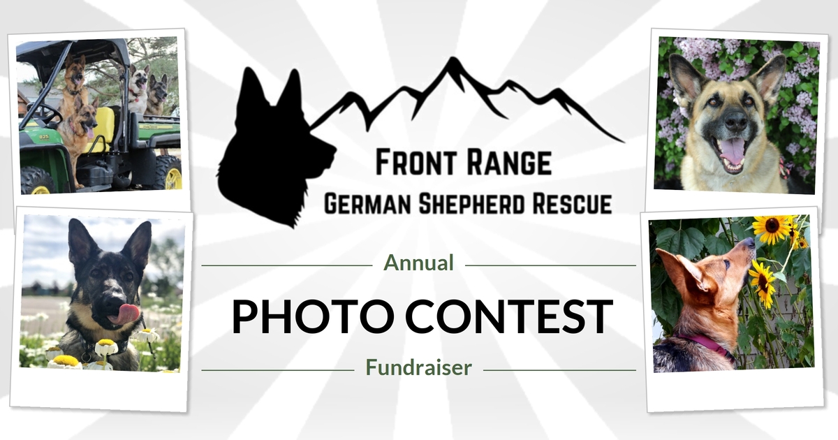 Front Range German Shepherd Rescue | Annual Calendar Photo Contest ...