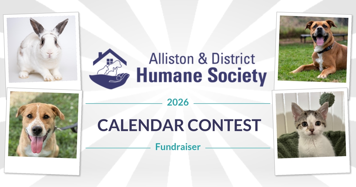 Alliston & District Humane Society | 2026 Calendar Contest Fundraiser