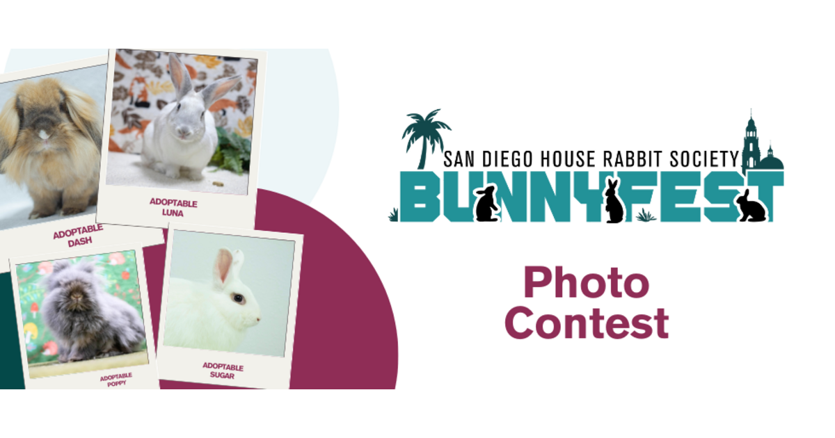 San Diego House Rabbit Society | Bunnyfest 2025 Photo Contest