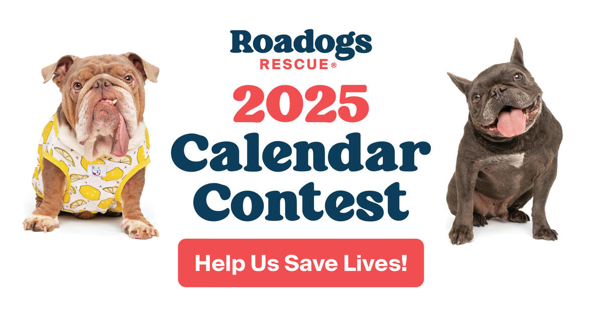 bannerFB-13.jpg?v=5943-16