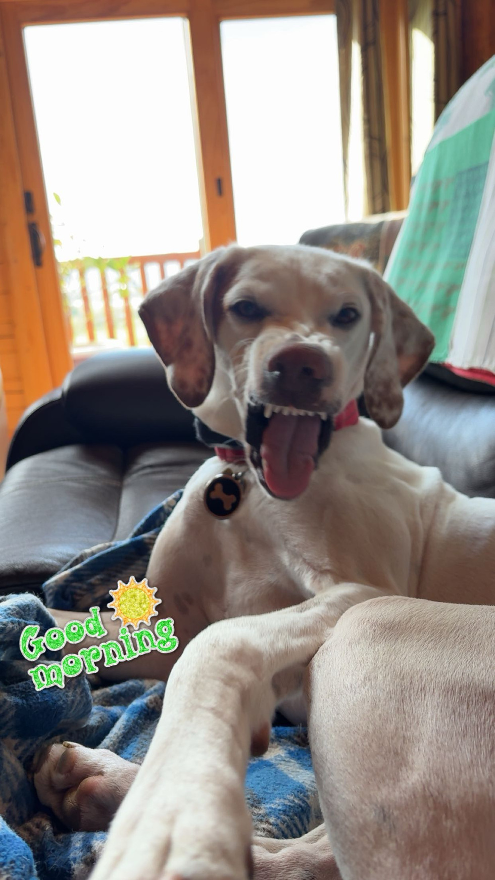 Vote for Buddy | 2026 PRO Calendar Photo Contest