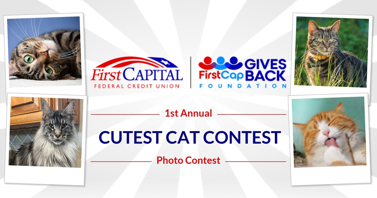 FirstCap Gives Back | Cutest Cat Photo Contest