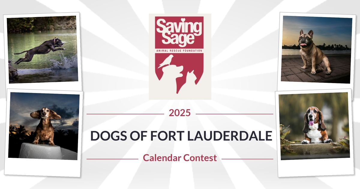 Saving Sage Animal Rescue | Dogs of Fort Lauderdale Calendar Contest
