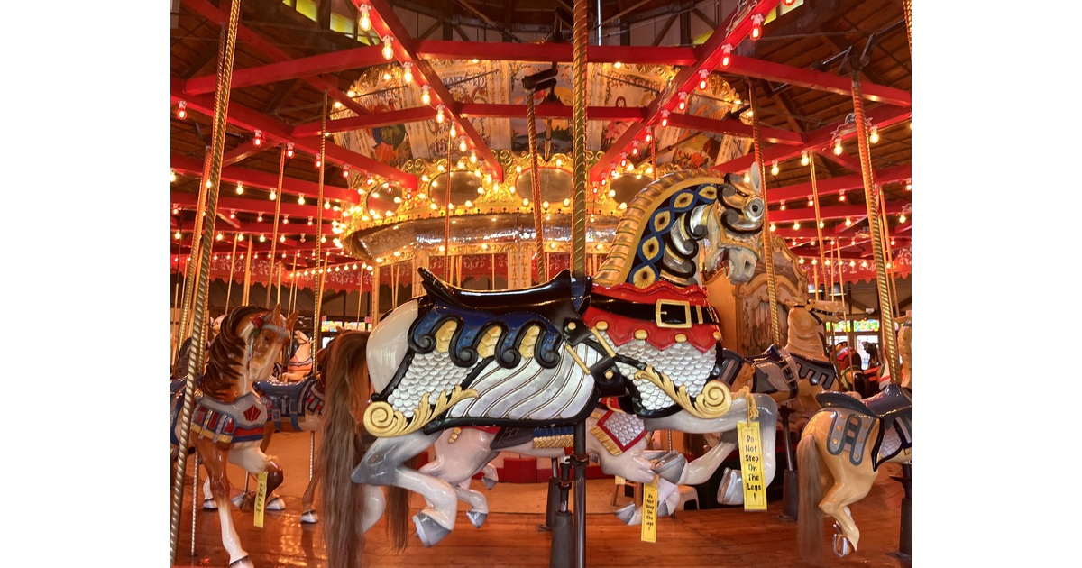 Vote for Knight Nico | 2nd Annual Carousel Museum Photo Contest