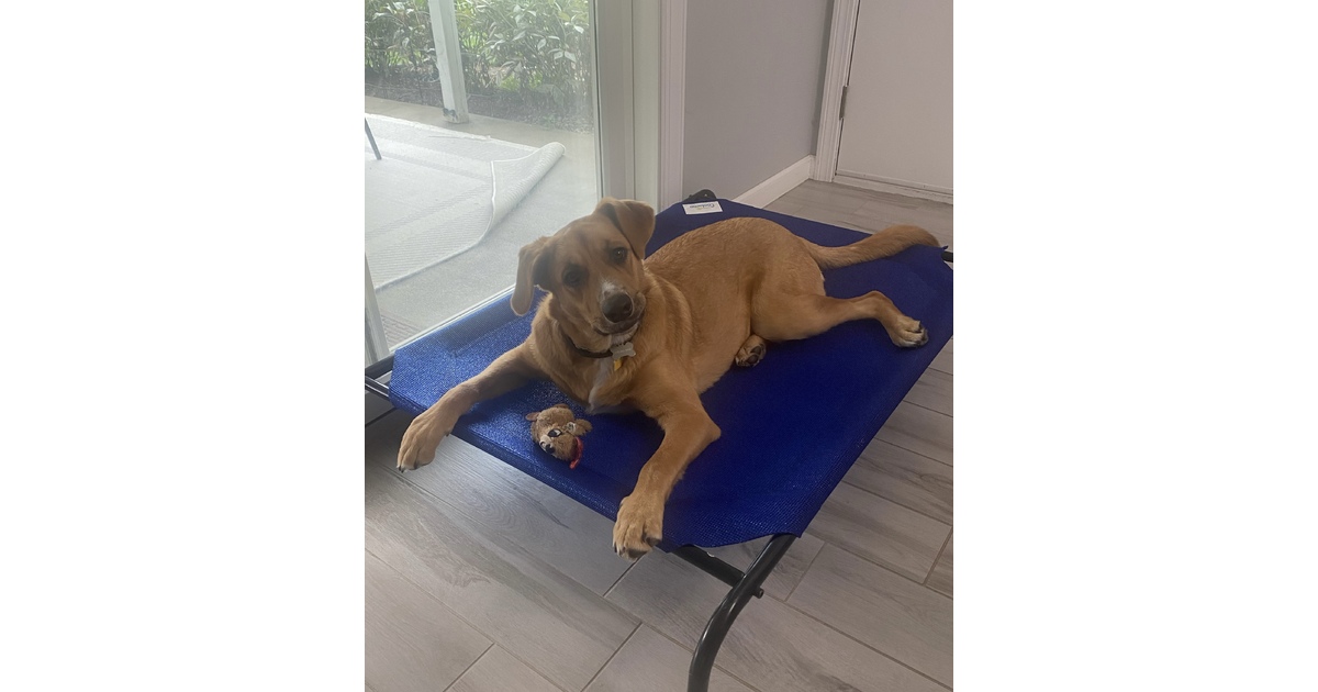 Vote for Murphy | 2026 Charlie's Crusaders Captured Cuteness Calendar ...