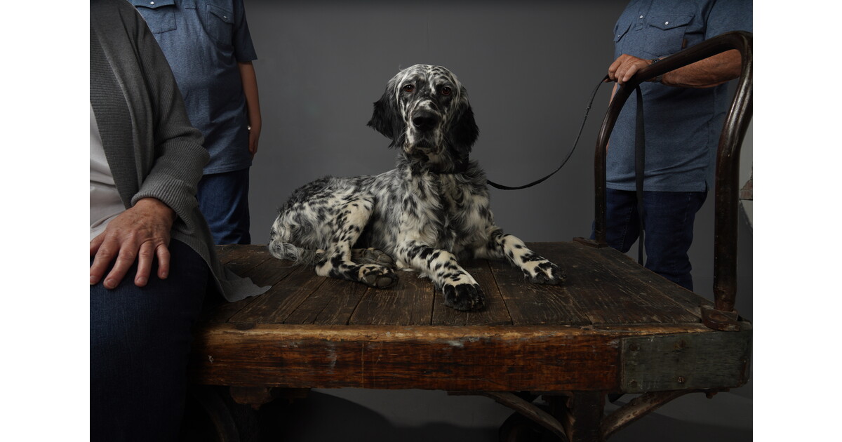 Vote for Drake | Tails of Montana: A Year of Pawsitivity 2026 Calendar