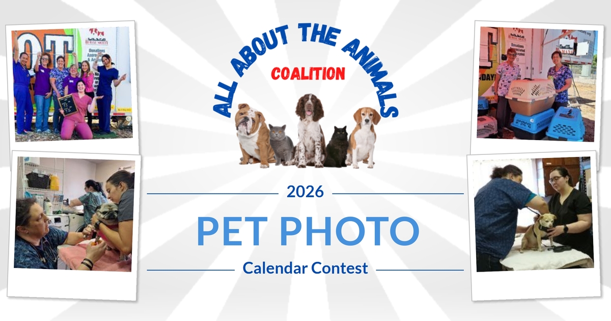 All About the Animals Coalition | All About the Animals Coalition 2026 ...