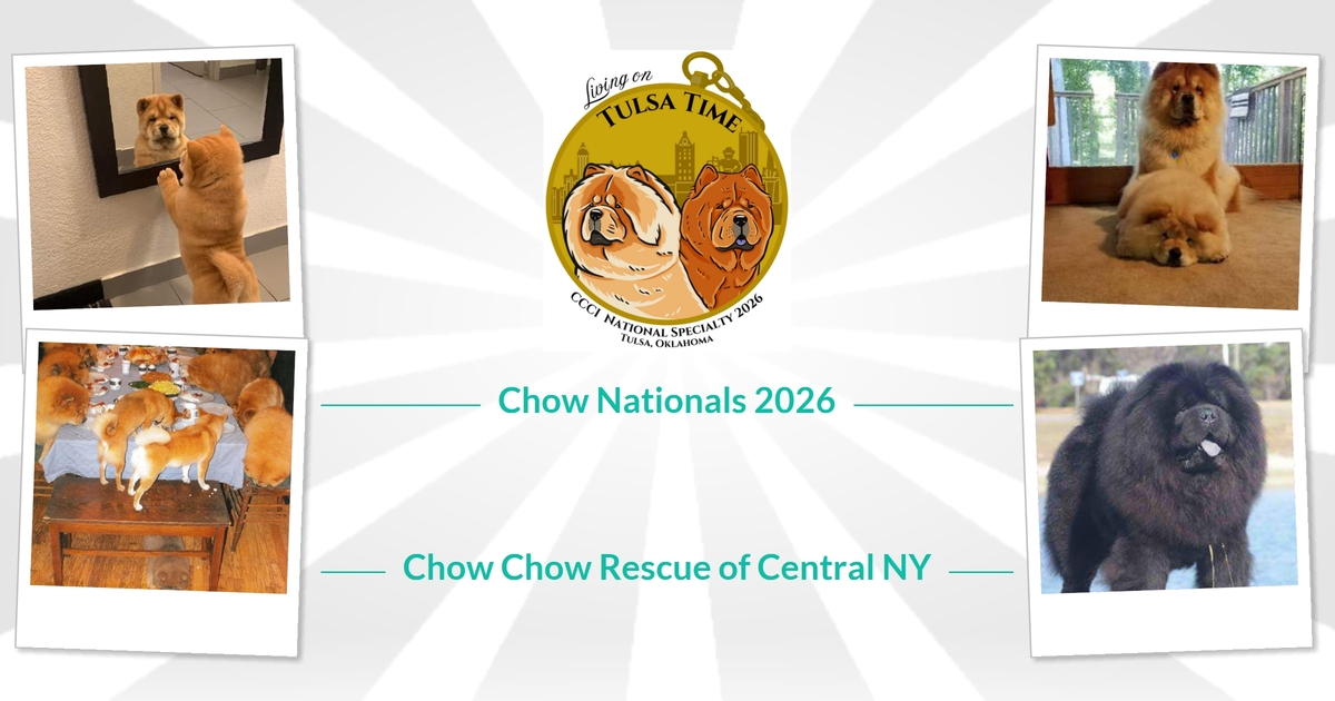 Chow club | Chow Calendar Fundraiser