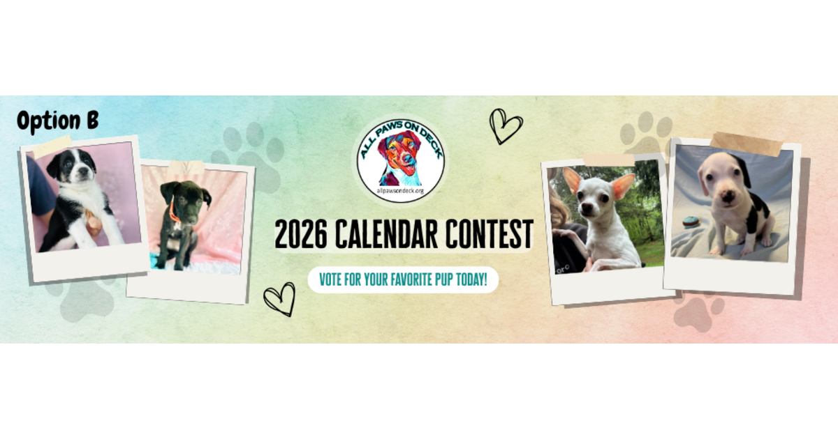 Homepage | All Paws on Deck | All Paws on Deck 2026 Calendar