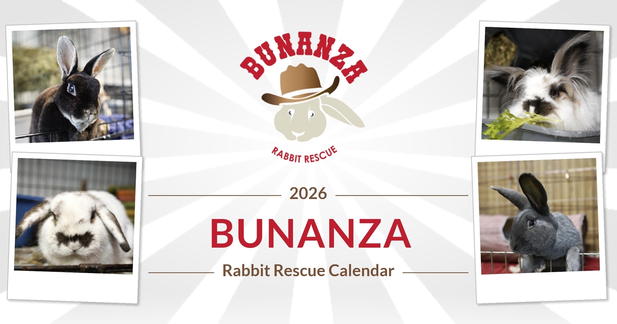 Bunanza Rabbit Rescue | 2026 Bunanza Rabbit Rescue Calendar