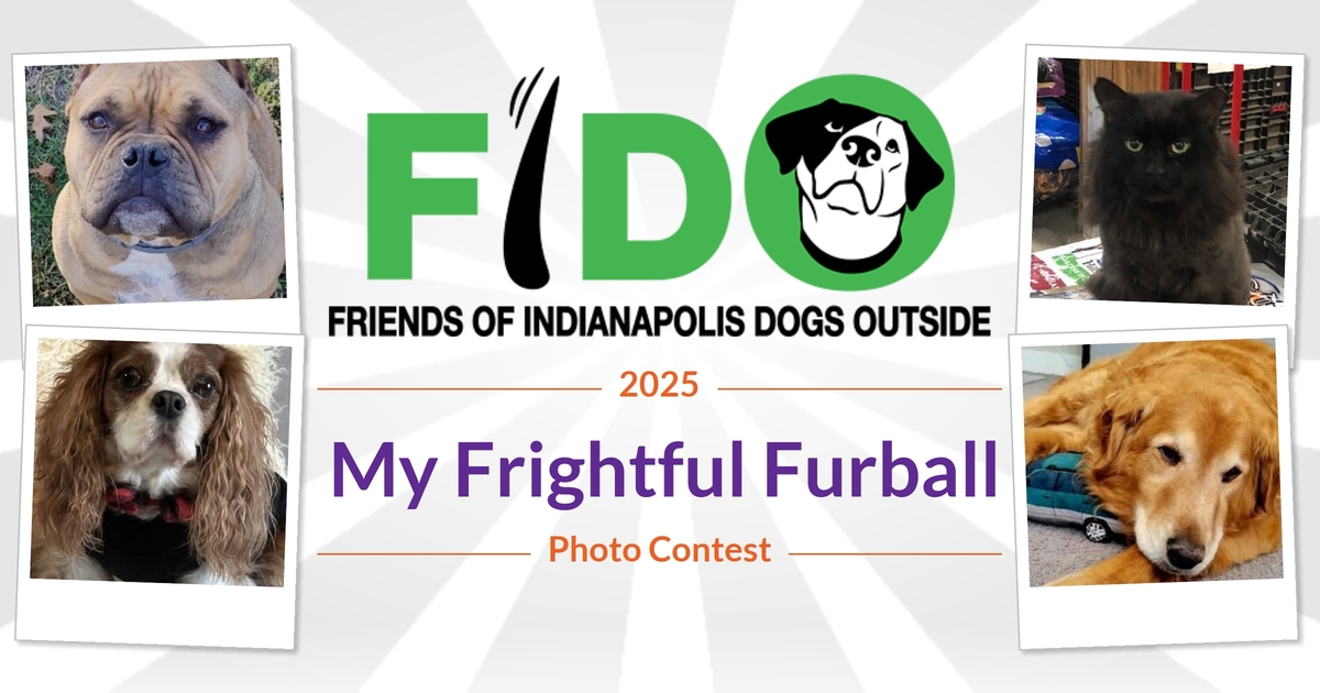 Friends of Indianapolis Dogs Outside | My Frightful Furball