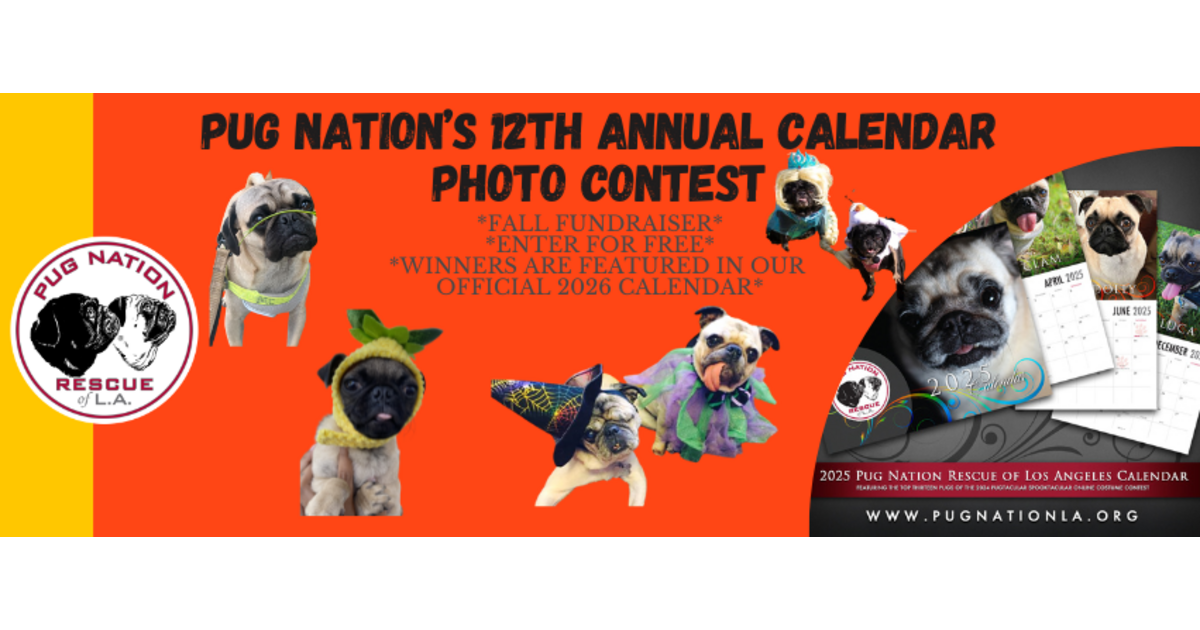 Rules | Pug Nation Rescue of Los Angeles | Pug Nation 2026 Calendar Contest