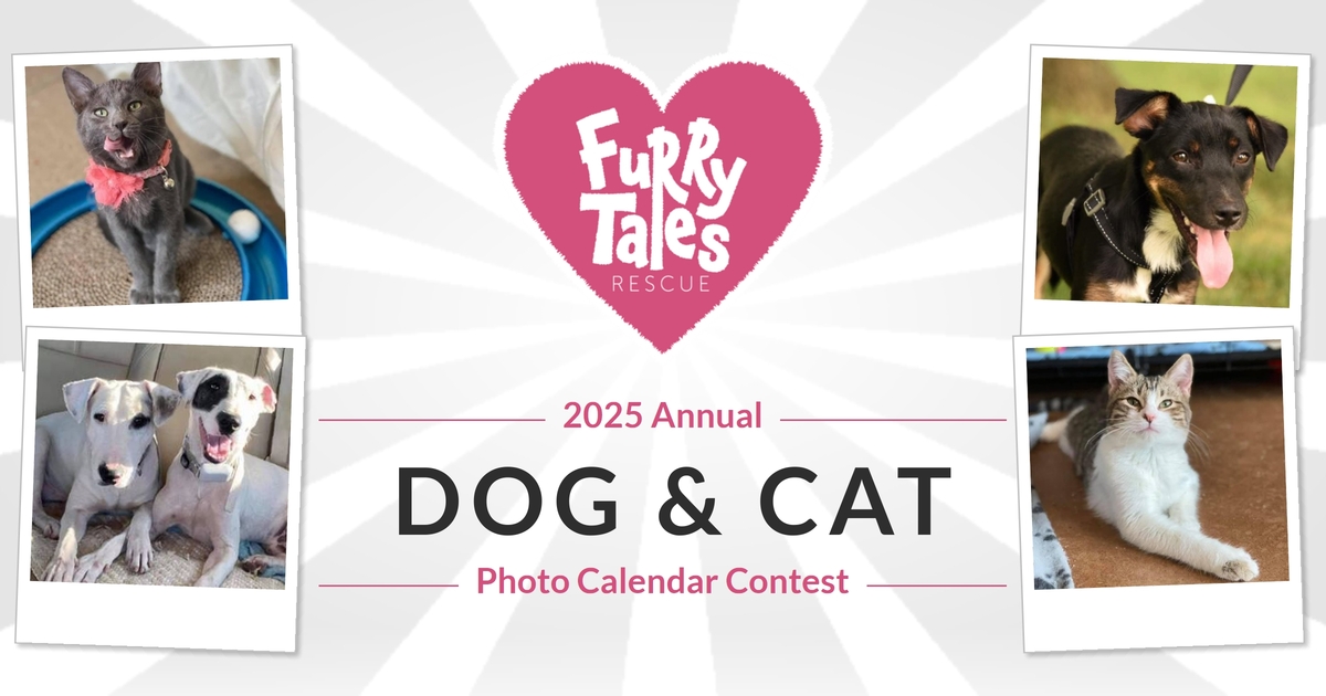 Rules | Furry Tales Animal Rescue | Furry Tales Animal Rescue 2025 Dog ...