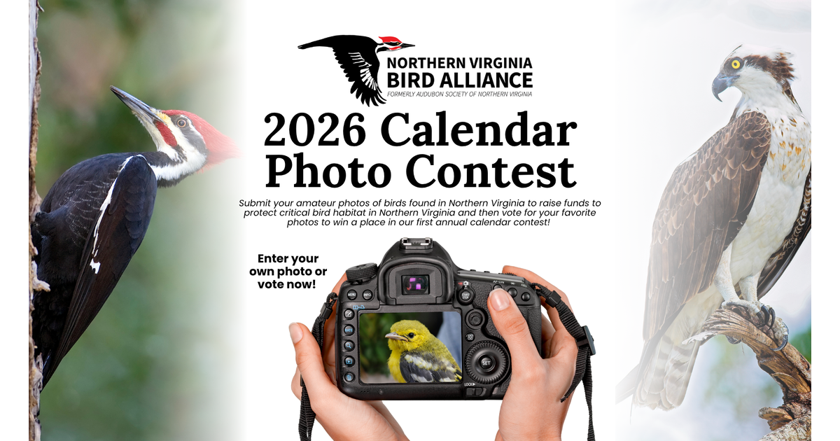 Northern Virginia Bird Alliance | Northern Virginia Bird Alliance 2026 ...