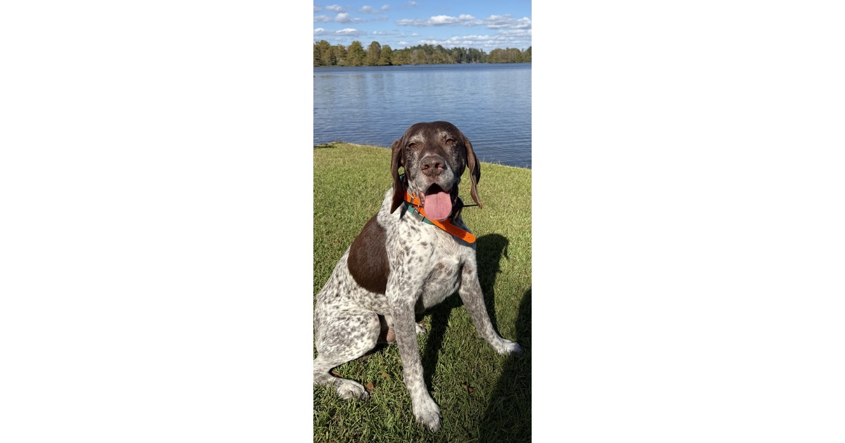 Vote for Luke | SE GSP CALENDAR CONTEST