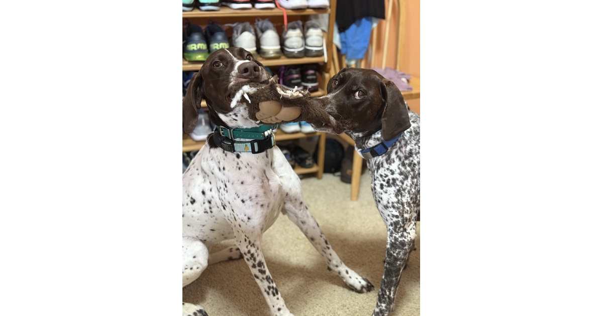 Vote for Maui & Mayz | SE GSP CALENDAR CONTEST