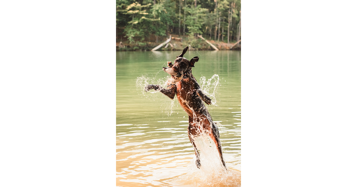 Vote for Sterling | SE GSP CALENDAR CONTEST