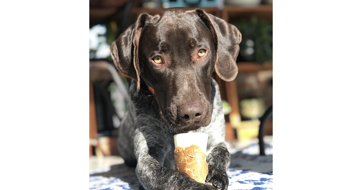 Vote for Daryl | SE GSP CALENDAR CONTEST