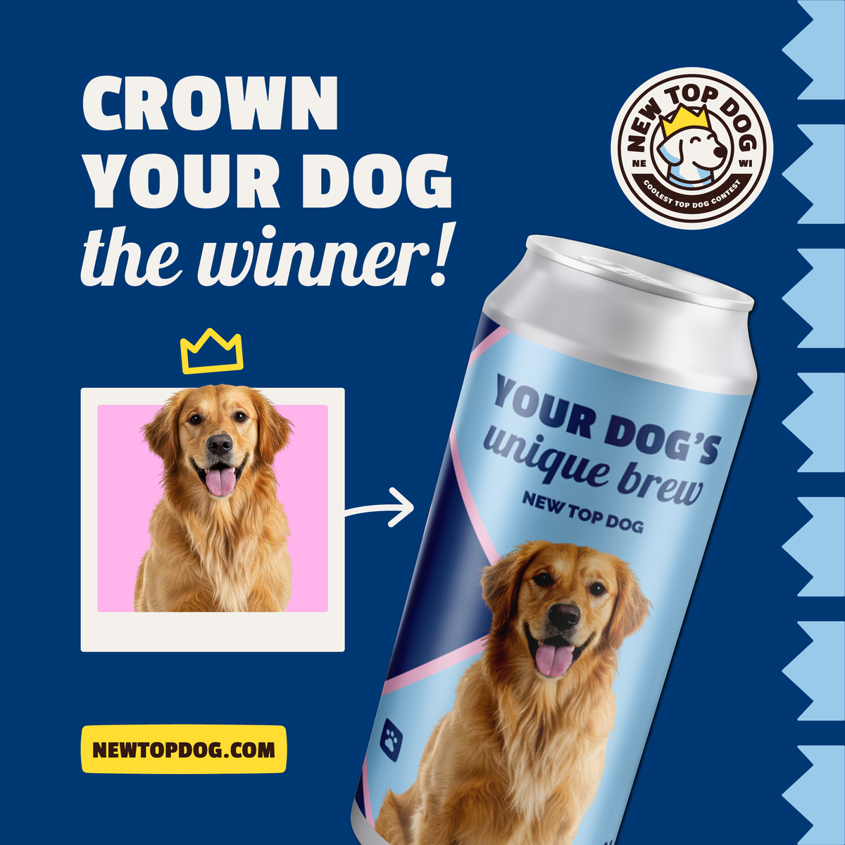 Sandi Paws Rescue | Sandi Paws Rescue's 2026 NEW Top Dog Contest