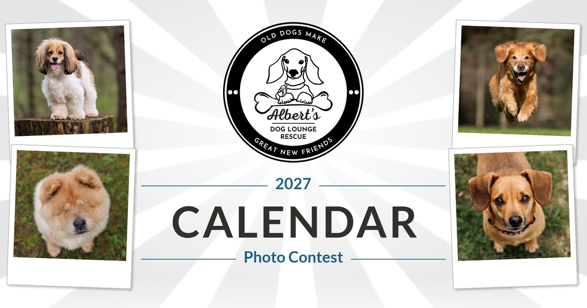 Albert's Dog Lounge | Albert's Dog Lounge 2027 Calendar Contest