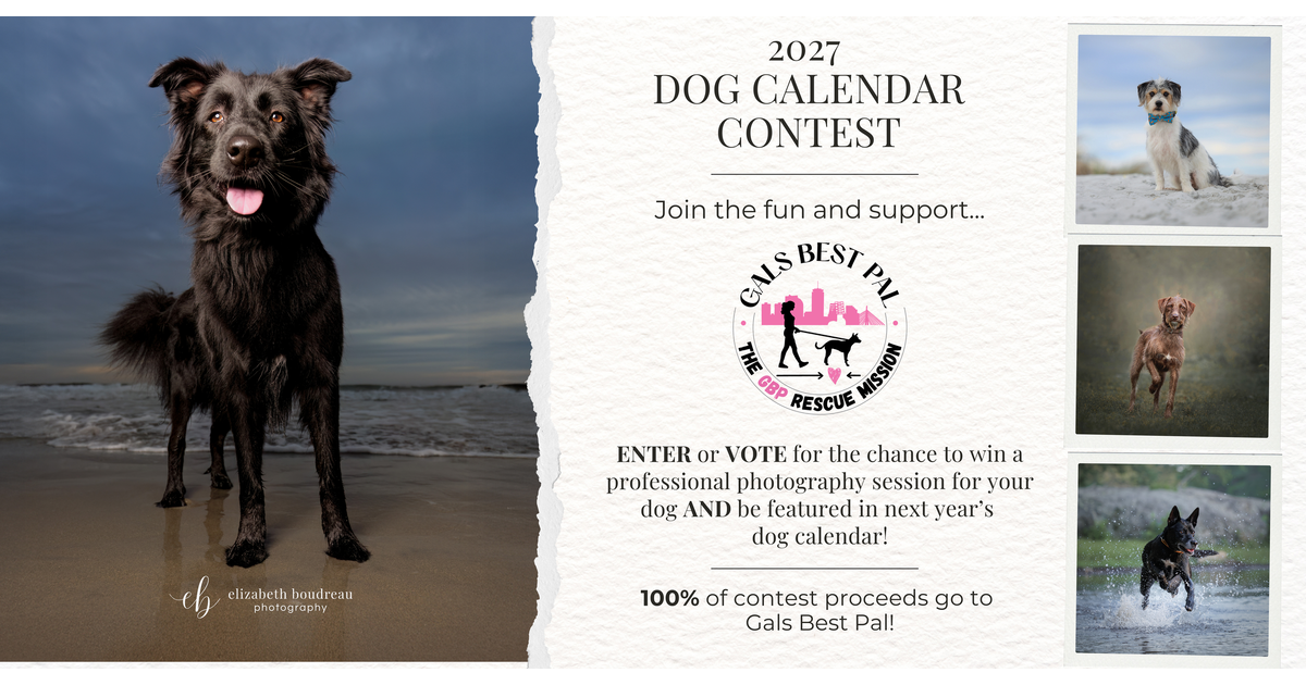 Elizabeth Boudreau Photography | 2027 Dog Calendar Photo Contest