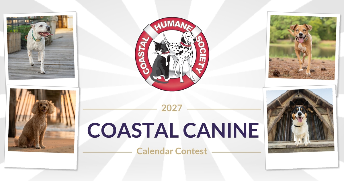 Coastal Humane Society | Coastal Canine Calendar Contest