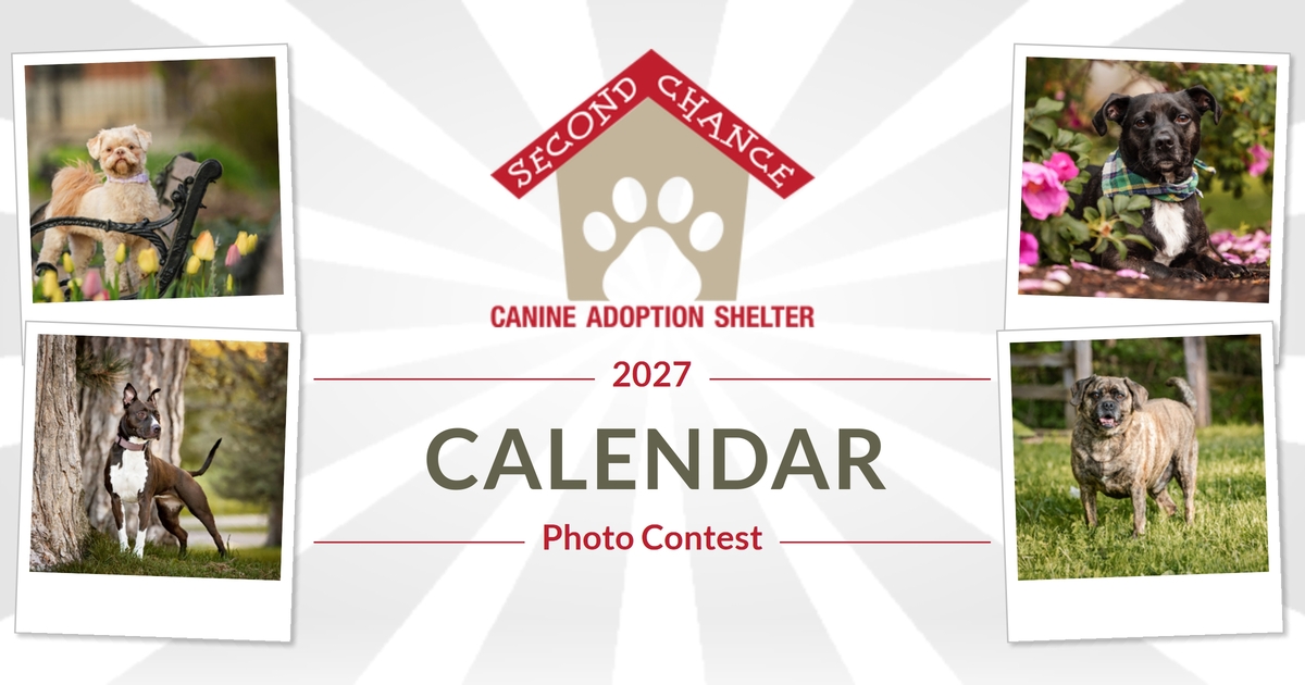 Nancy Kieffer Photography | Second Chance Canine Adoption Shelter ...