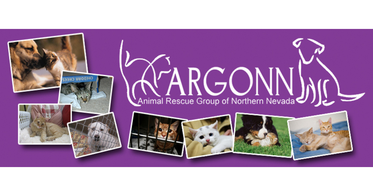 Animal Rescue Group of Northern Nevada | ARGONN 2015 PET CALENDAR PHOTO ...
