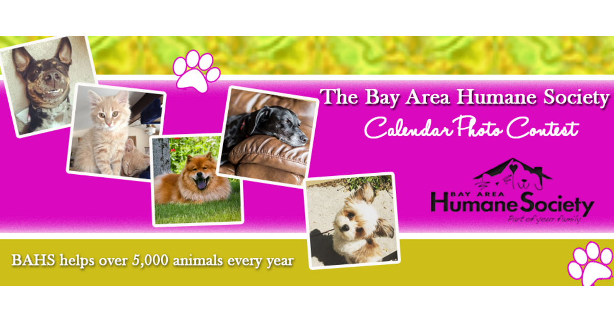 Bay Area Humane Society | BAHS 2017 Calendar Photo Contest